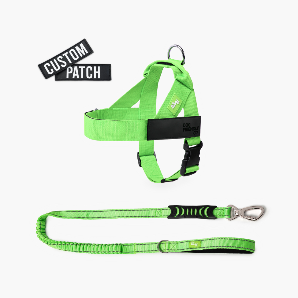 Dog Signature Kit, Harness & Leash Bundle - Neon Green – Dog Friendly ...